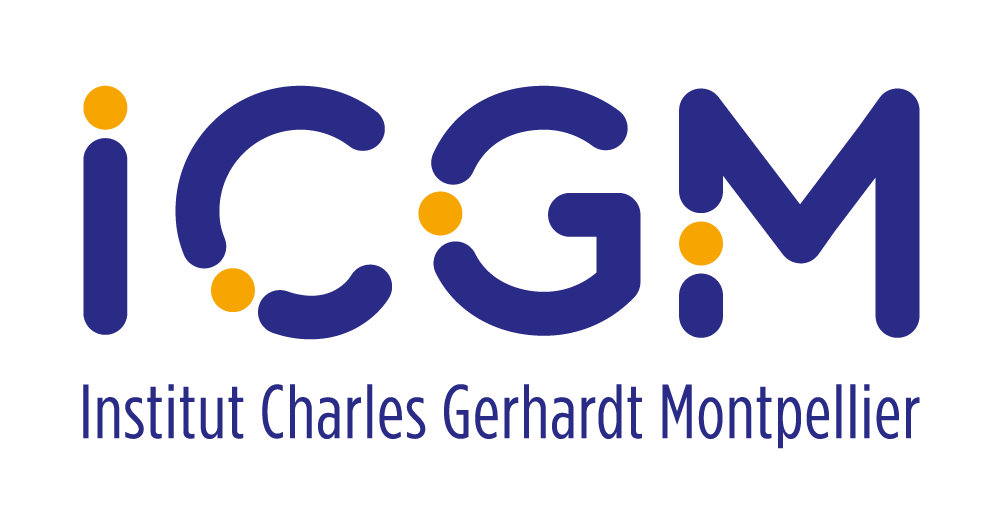 Member INSTITUT CHARLES GERHARDT MONTPELLIER (ICGM)